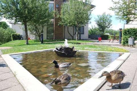 Lejebolig Århus: 630 ledige lejligheder til leje